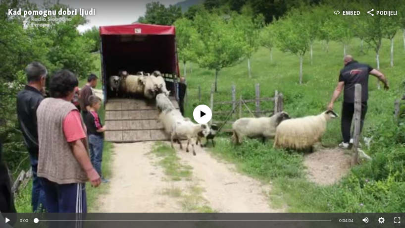 Solidarnost: Stočari iz cijele BiH se udružili da pomognu porodici Humić